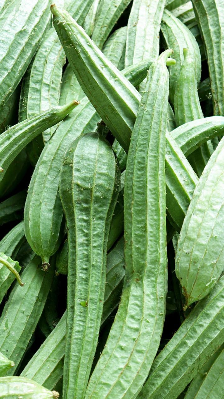 Eating Dodka : आहारात दोडक्याचा समावेश करा, 'हे' आजार होतील बरे|There ...