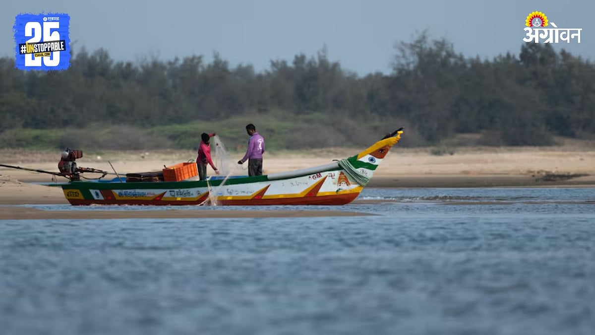 Fish Production । पारदर्शकपणे काम करून मत्स्योत्पादनात वाढ करा ...