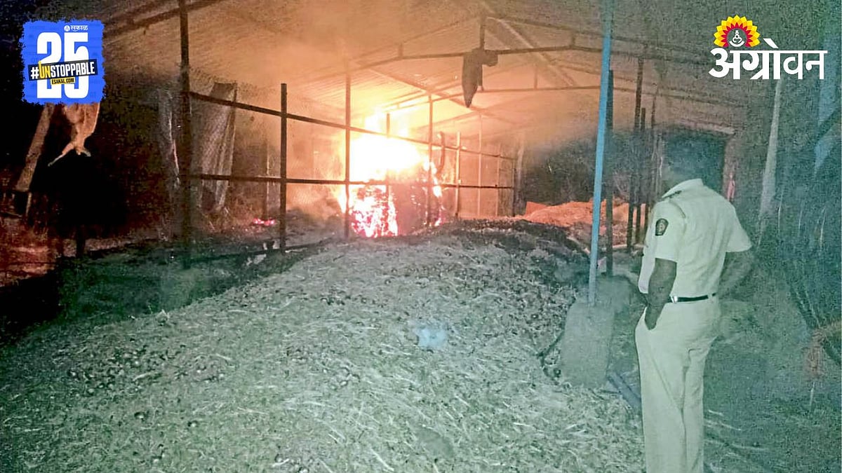 Kanda Chal Fire । चाळीतील कांद्याचे आगीमुळे नुकसान । Farmer Loses Lakhs ...