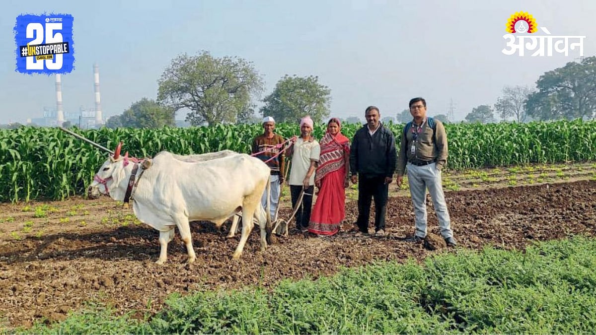 Rural Development । भूमिहीन, अल्पभूधारकांचे जीवन झाले शाश्‍वत ...