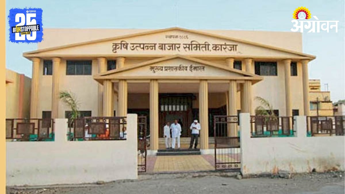 Karnja APMC । कारंजा बाजार समितीने वार्षिक क्रमवारीत दबदबा कायम ...