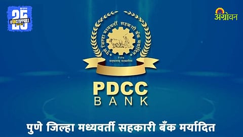 PDCC Bank Bharti 2025 । ‘पीडीसीसी’ बँकेत एक हजार जागांची भरती । Pune ...