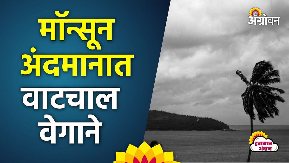 Monsoon in Andaman: माॅन्सून अंदमानात दाखल |Monsoon Arrives in Andaman ...