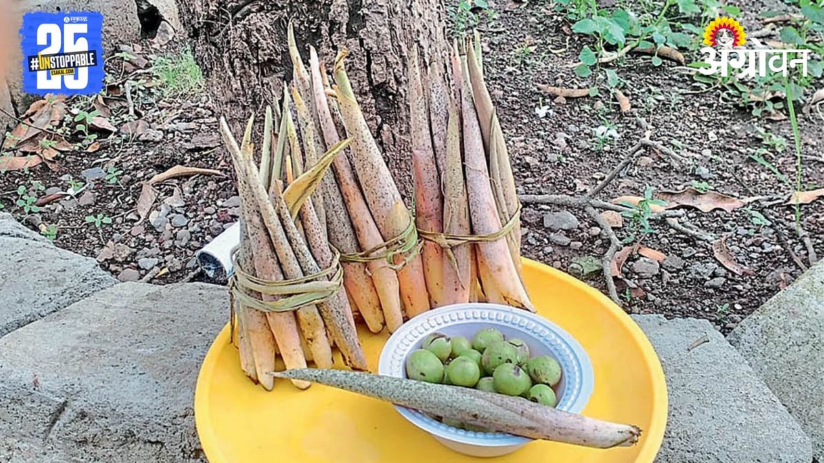 Monsoon Vegetables । सुरणाच्या फुलासह शेवळा बाजारात दाखल । Wild Veggies ...