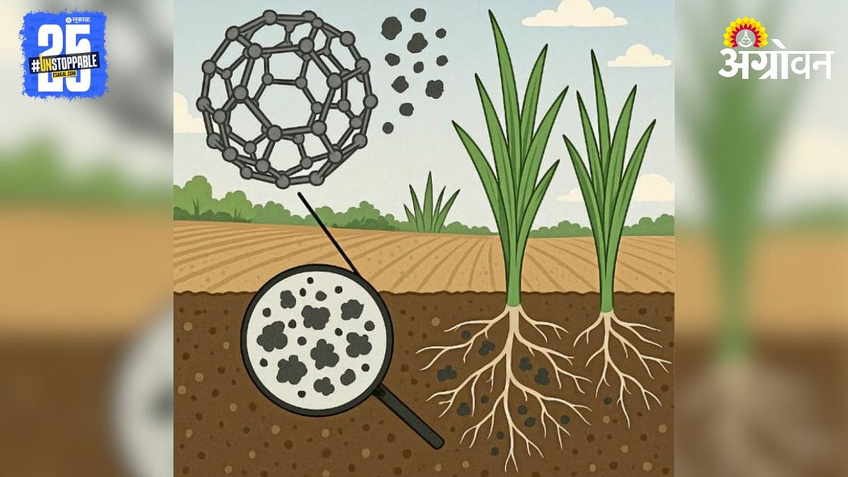Soil Fertility । सुपीकतेसाठी नॅनो बायोचार । Nano Biochar: A Game ...