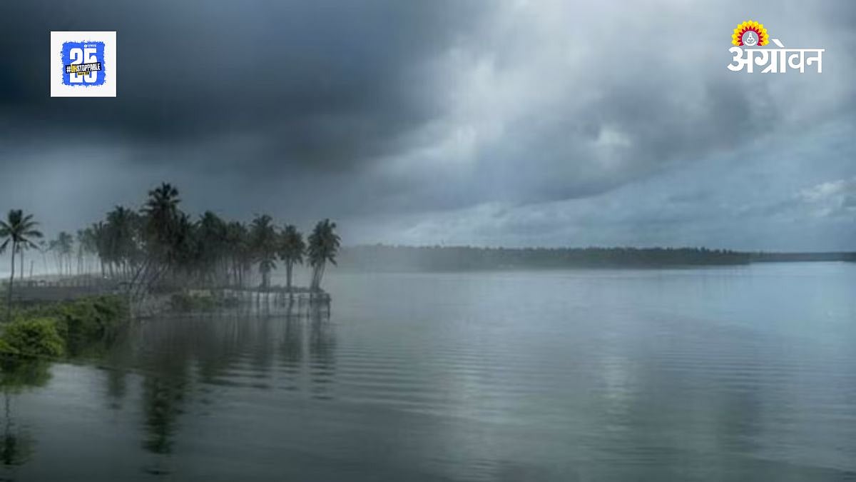 Monsoon 2025 | उत्तर महाराष्ट्र, मराठवाड्यात विजांसह पावसाचा अंदाज ...