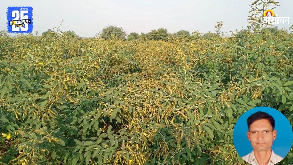 Tur Farming । अभ्यासातून साधली तुरीची उत्पादकतावाढ । Drought-Proof ...