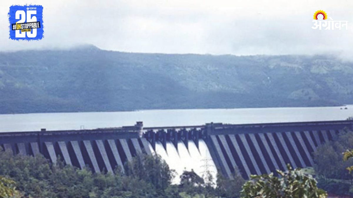 Maharashtra Dam Storage | राज्यातील धरणांत ३२.५५ टक्के पाणीसाठा | 32.55 ...