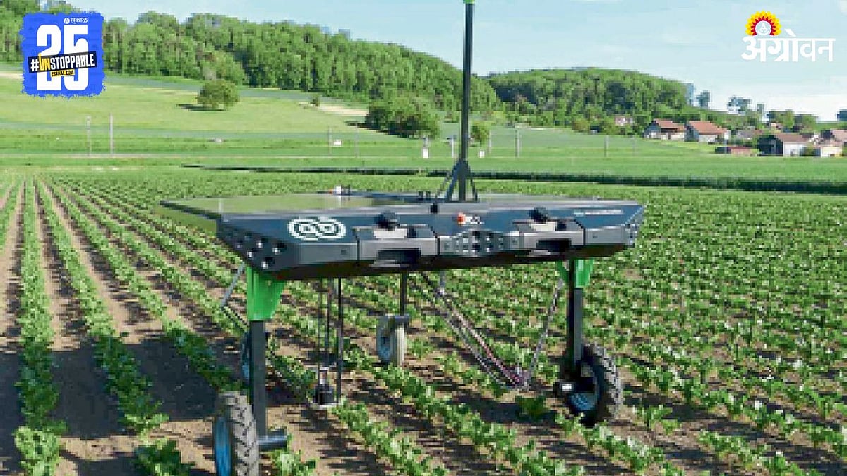 Weed Control Technology | तण नियंत्रणासाठी यंत्रमानव | Robots for weed ...