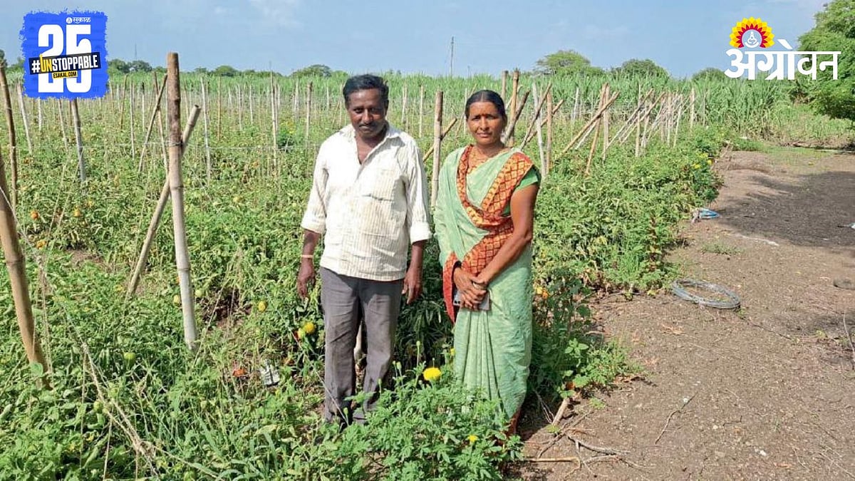 Flower Farming । पतीच्या समवेत शेती फुलवली, पुढे नेली । Rural Woman’s ...