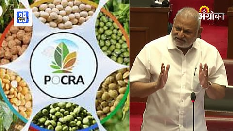 POCRA Scheme : 'पोकरा'च्या टप्पा दोनसाठी जागतिक बँकेसोबत करारनाम्यास ...