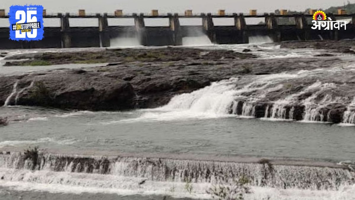 Dam Water Levels | पुणे जिल्ह्यातील धरणांत ७५ टक्क्यांवर पाणीसाठा ...