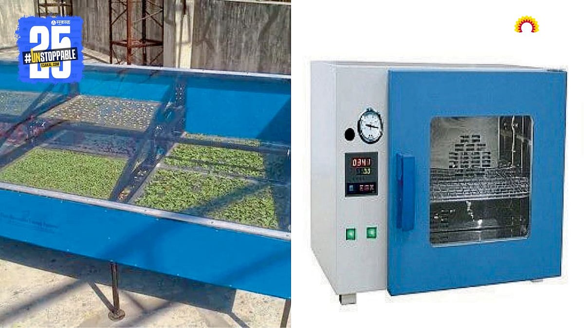 Vegetable Drying Process | भाज्या सुकविण्याची प्रक्रिया | The process ...