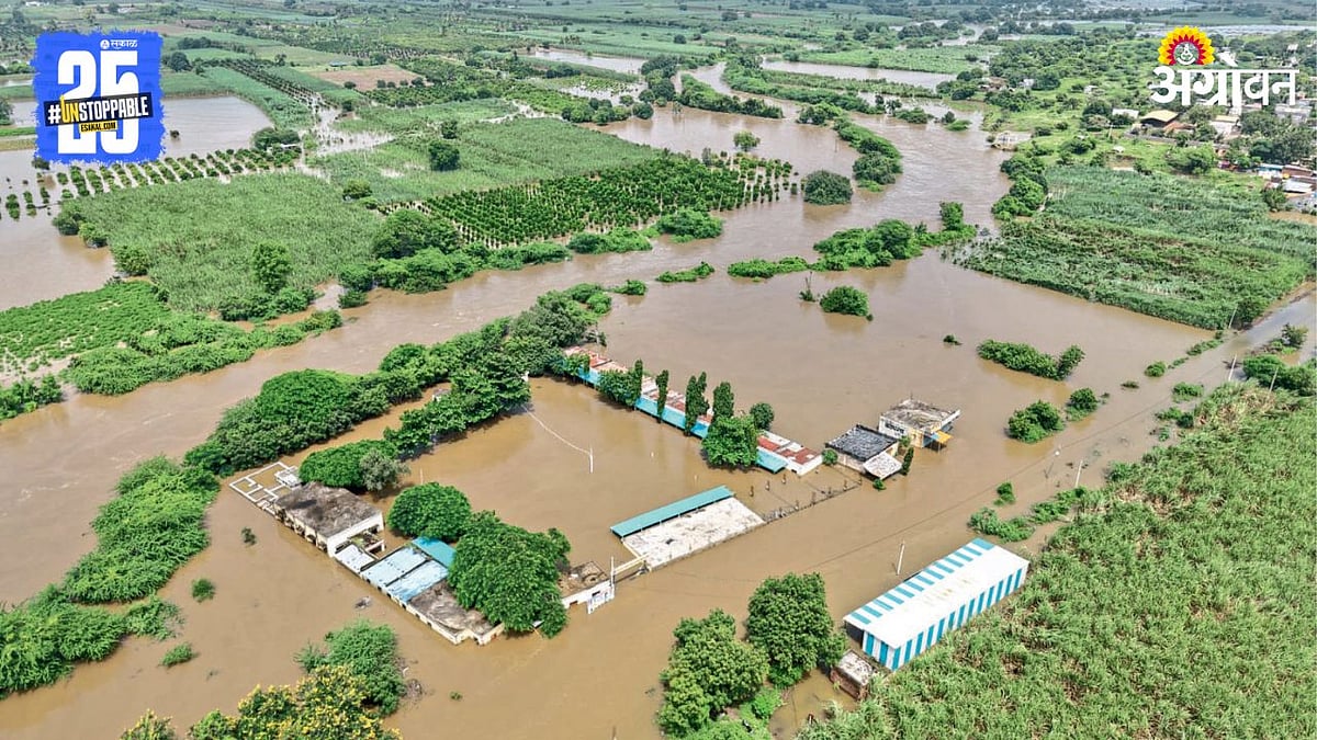 Maharashtra Flood । एनडीआरएफ निकषांच्या तिपटीने मदत करण्यासाठी राज्य ...