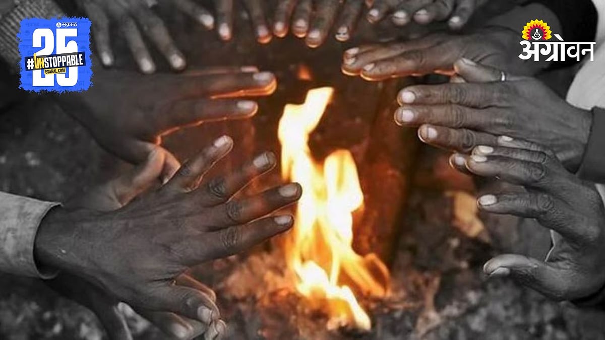 Maharashtra Cold Weather | डिसेंबर महिन्यात थंडीचा कडाका अधिक | The ...