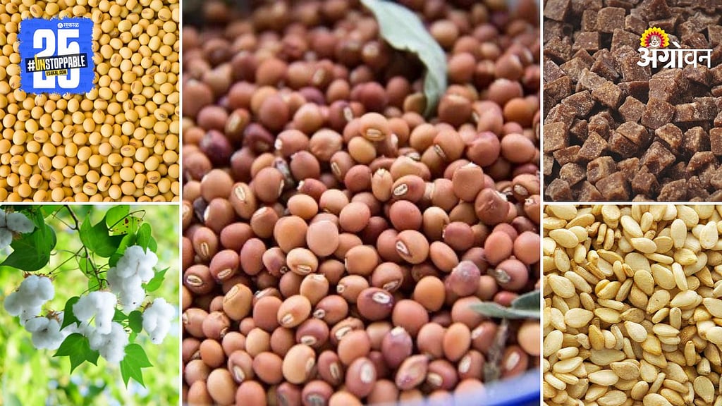 Agrowon Podcast | तुरीला काय भाव मिळाला ?सोयाबीनमध्ये काहीसे चढ उतार ...