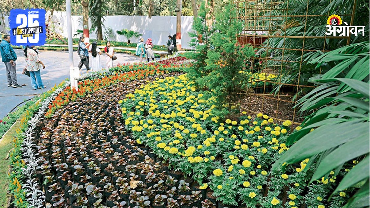 Flower Exhibition | पुण्याच्या एम्प्रेस गार्डनमध्ये अवतरलीय फुलांची ...