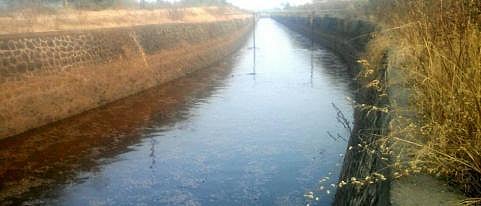Tembhu Irrigation Scheme । सावळजसह आठ गावांचा ‘टेंभू’त समावेशासाठी ...