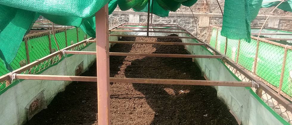 How to prepare vermicompost?|गांडूळ खत कसे तयार कराल