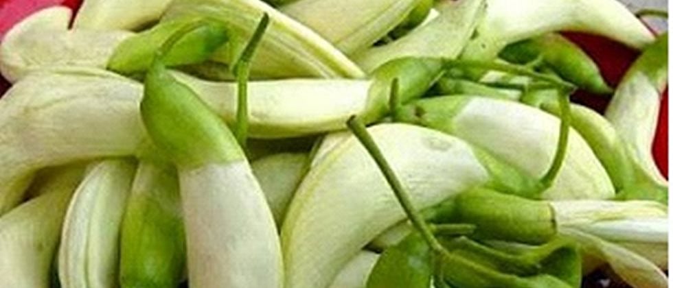 वातदोषावर उपाय ः हादग्याची फुले, शेंगा