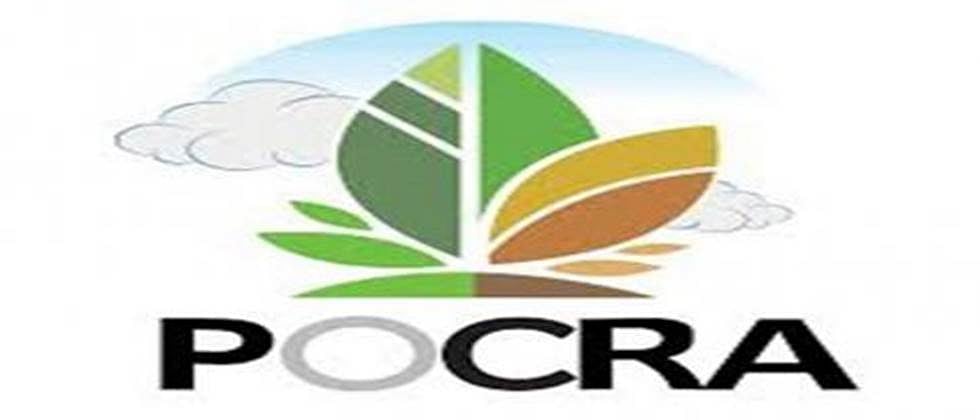 POCRA Subsidy | ‘पोकरा’चे १२ कोटींवर अनुदान प्रलंबित | 12 crore Subsidy ...