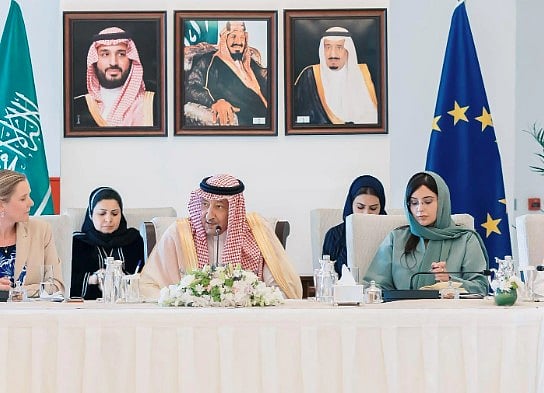 Vice Minister of Foreign Affairs Meets with EU Political and Security ...