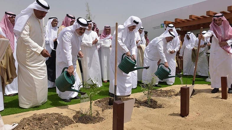 Vision 2030: New Saudi initiative to protect environment with 5 million ...
