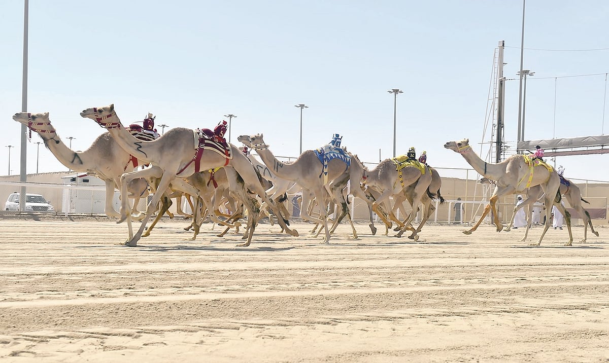 Alfaran races into history by becoming first woman participant in Crown ...
