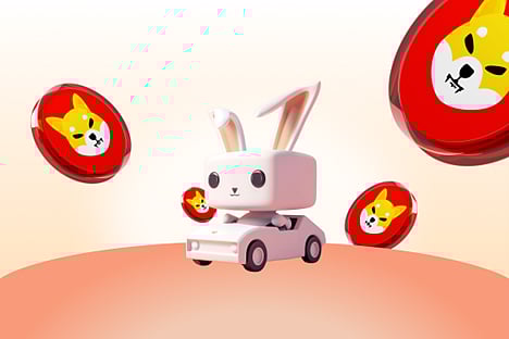 Shiba Inu, Raboo, and PEPE: What Makes These Meme Coins So Popular?