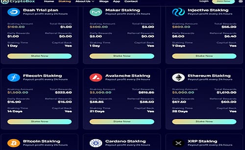 4 Best Crypto Staking Platforms for Beginners