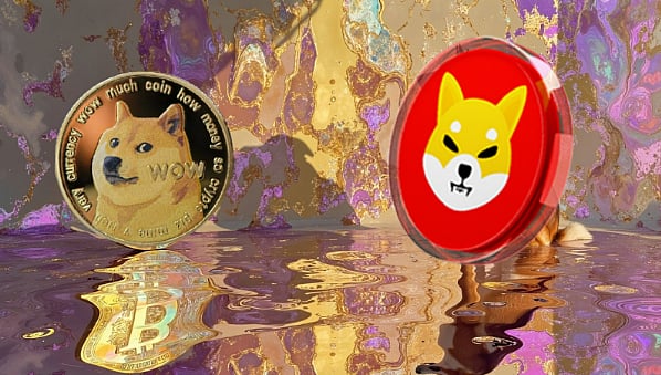 Tracking Bull Run Winners: Will Dogecoin (DOGE) or Shiba Inu (SHIB ...