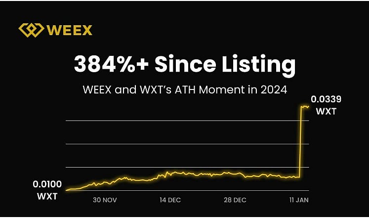 WEEX 2024 Annual Report: Over 5 Million Users, Daily Trading Volume Exceeds $5 Billion, Team ...