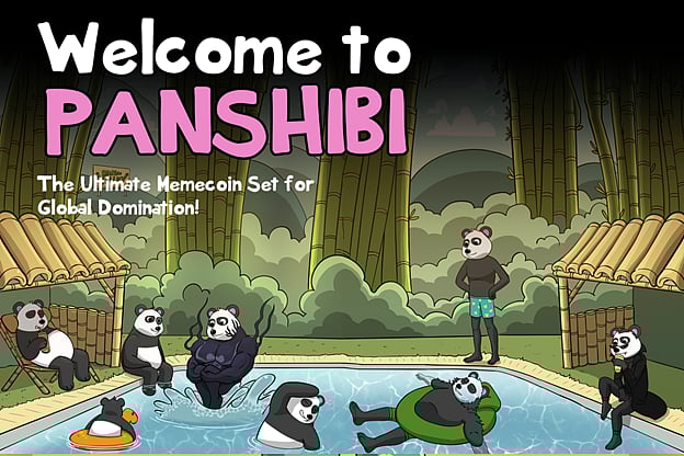 What's Got So Many Crypto Fans Talking About Panshibi (SHIBI): Is This ...