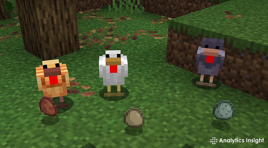Minecraft Chicken Variants: Easy Step-by-Step Guide to Find All of Them