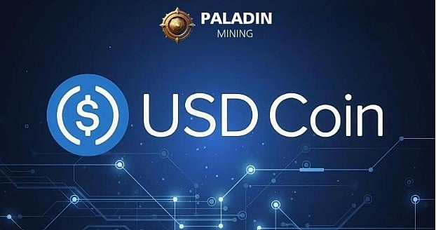 Use PaladinMining cloud mining platform to immediately achieve sub ...