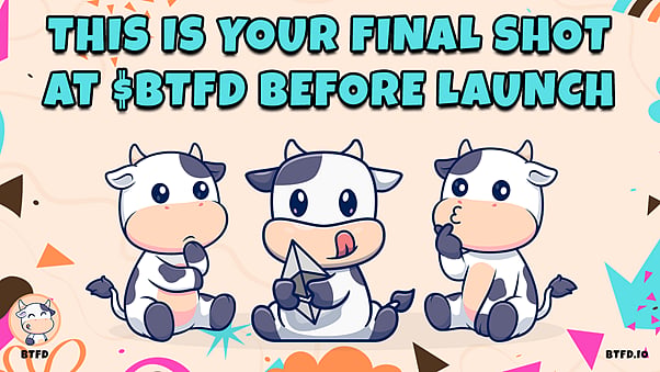 Final Shot at 2900% ROI: Top New Meme Coins to Join Today—BTFD Coin’s ...
