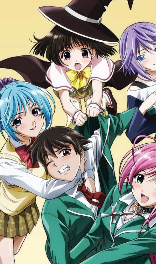 Top 5 Harem Anime of All Time