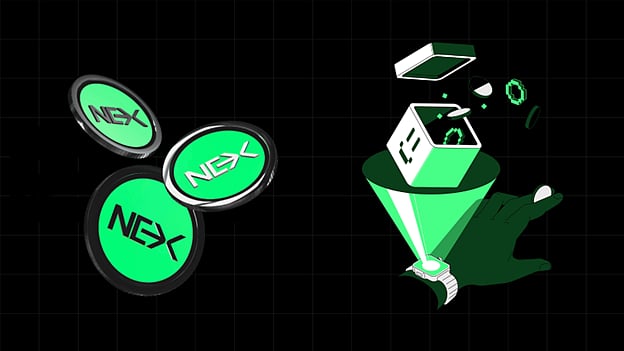 Nexchain's Stage 16 Crypto Presale About to End — PEPE Bounces Back