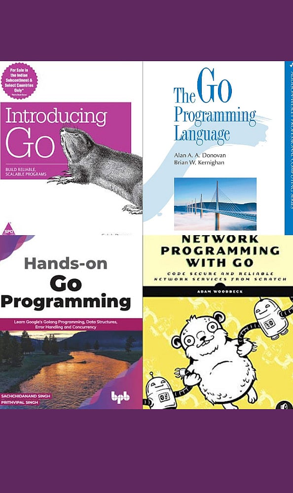 Best Books to Master Go (Golang) Programming in 2025