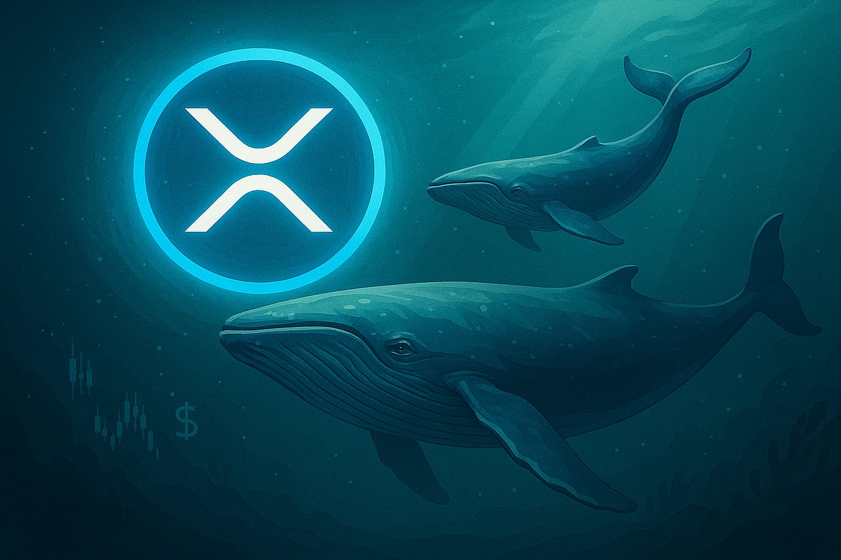 XRP Price Today: Remittix Dubbed XRP 2.0 As Early Investors Could Be ...