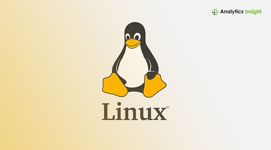 Top Linux IDEs of 2025