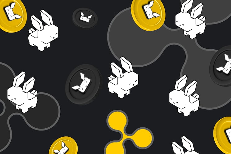 Analysts Predict XRP's Upside and Raboo's Moonshot: What's Next for ...