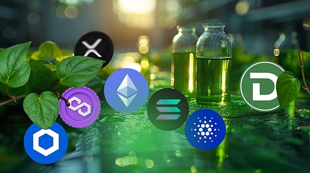 Experts Say DTX Exchange May Become One of the Top Utility Tokens Like ...
