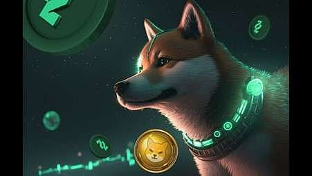 The Epic Battle for Meme Coin Supremacy: DogeMiyagi, Dogecoin and Shiba ...