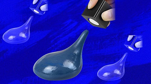 Cheers to Advancements! Creating a Magnetic Slime Robot