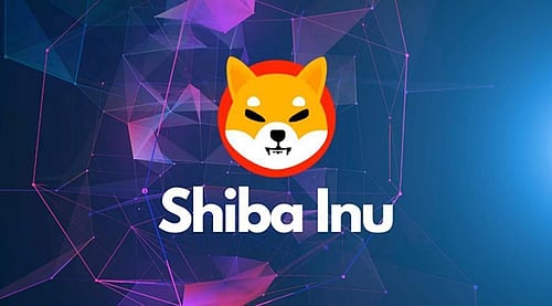 Waiting for Shiba Inu to Rise? Try EverGrow