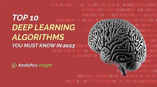 Top 10 Deep Learning Algorithms You Must Know in 2023