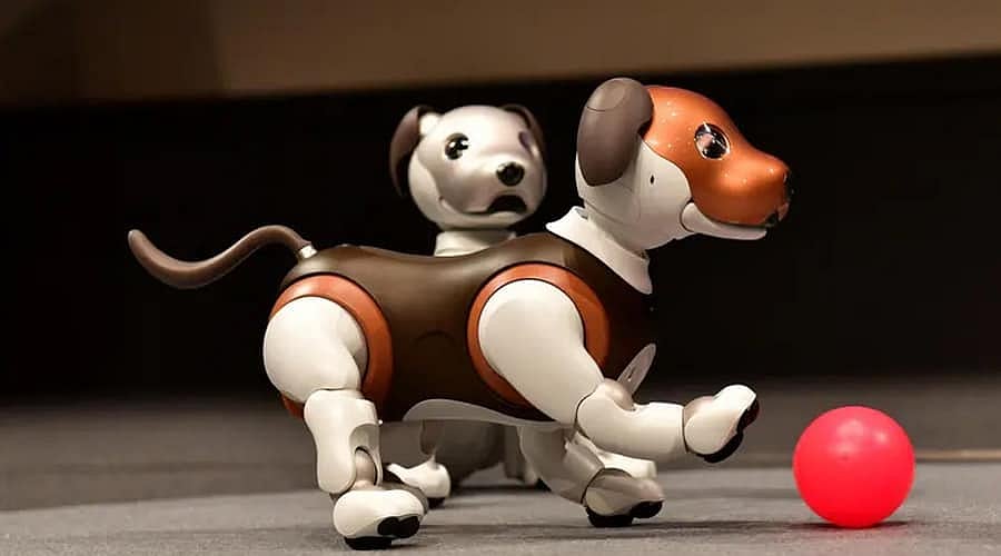 A Futuristic Home With These Awesome Home Robots
