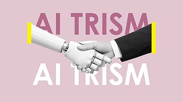 What is AI Trust, Risk, and Security Management (AI TRiSM)?