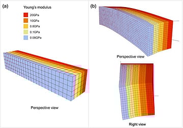 Everything That you Need to Know About Voxel-based Modelling